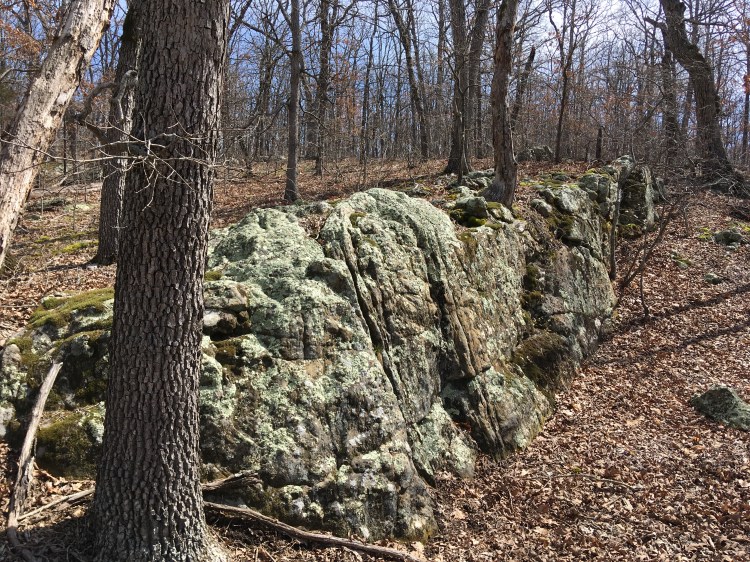 38th Parallel Structures – Integrating Presence