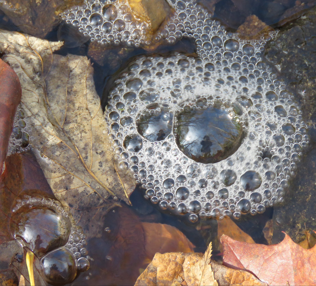 The Buddha’s Images For The Five Clinging Aggregates – Integrating Presence
