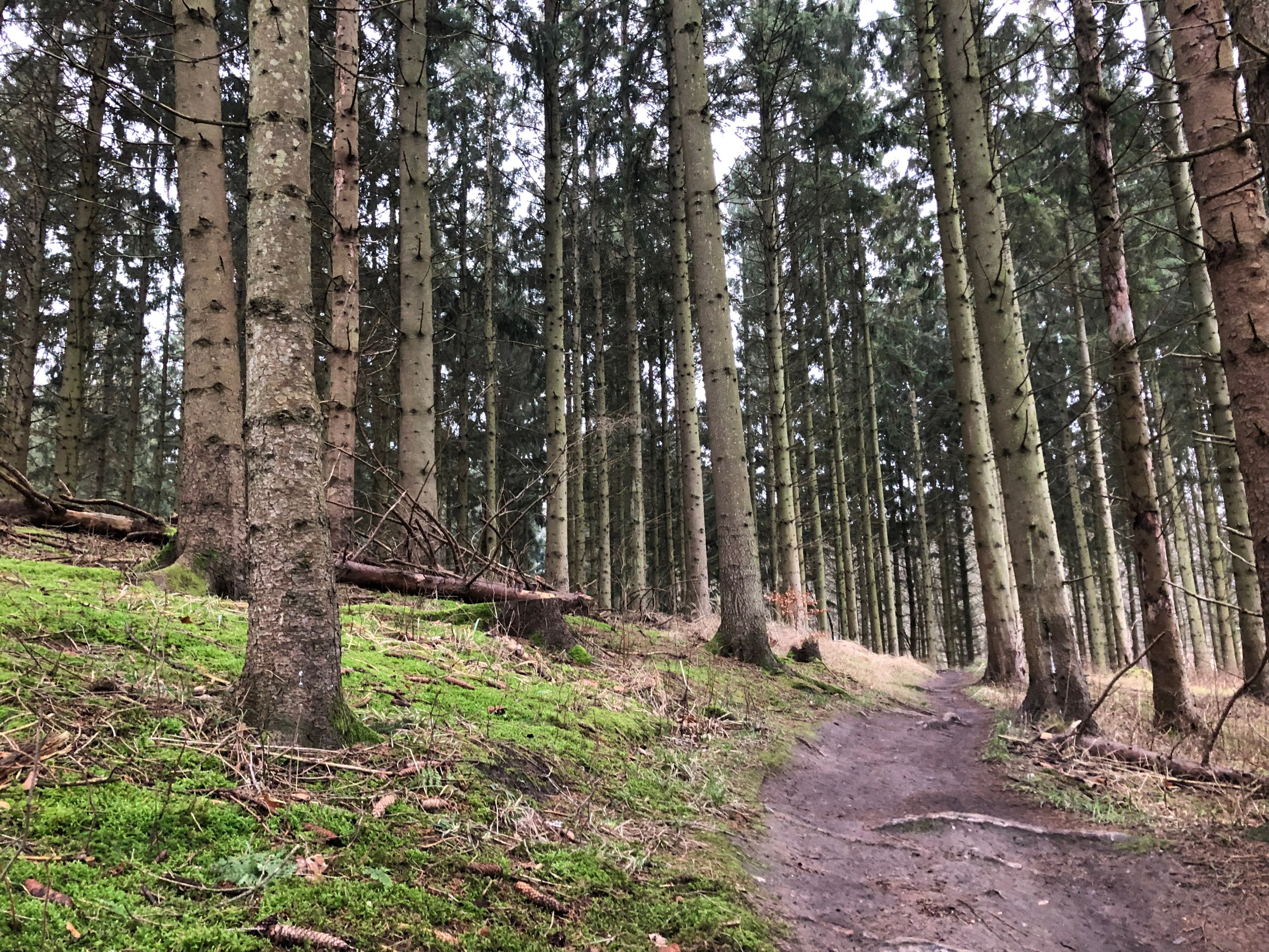 Questions And Points Put To Leigh Brasington On “Psychic Powers” In The ...